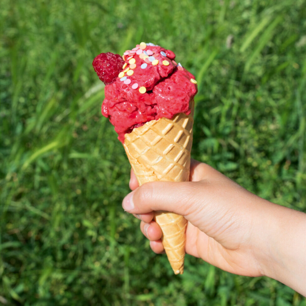 Eis einfach selbstgemacht: Unsere liebsten Rezepte