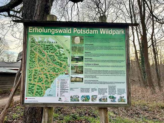 Grüne Pause im Wildpark Potsdam