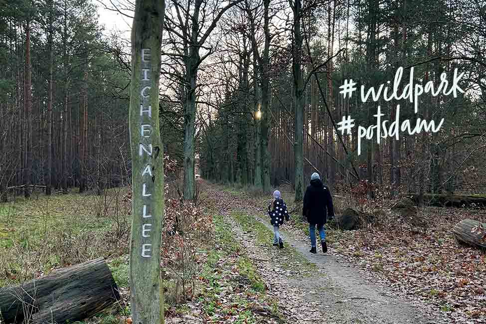Grüne Pause im Wildpark Potsdam