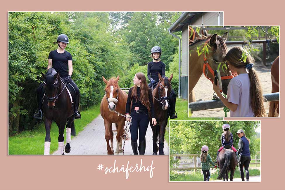 Reiten lernen auf dem Schäferhof südlich von Potsdam und Berlin
